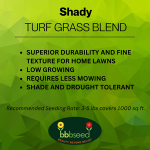 Shady Turf Grass Mix | BBB Seed Wildflower Seeds